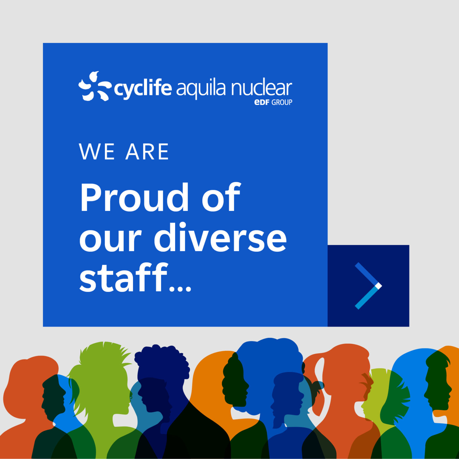 Diversity and Inclusion Statement - Cyclife Aquila Nuclear | EDF Group
